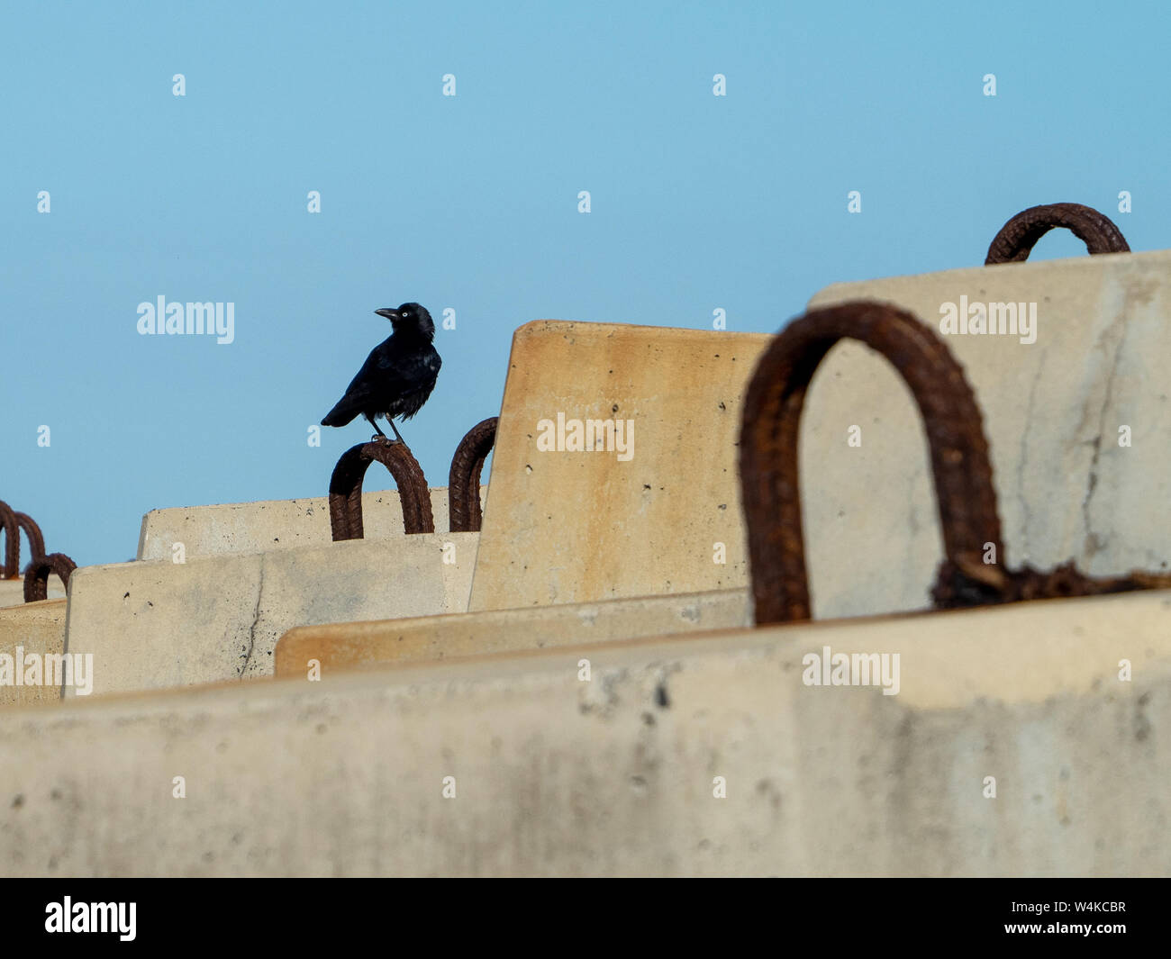 Hanbar blocks hi-res stock photography and images - Alamy