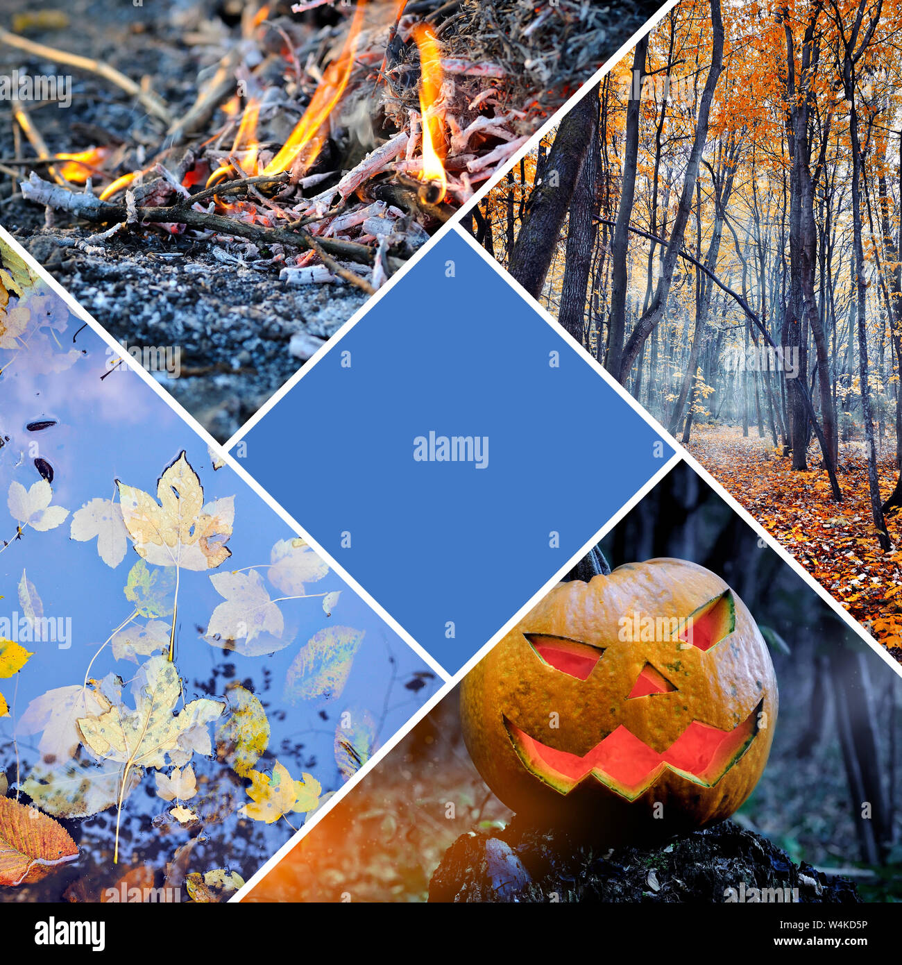 Autumn leaf collage hi-res stock photography and images - Alamy