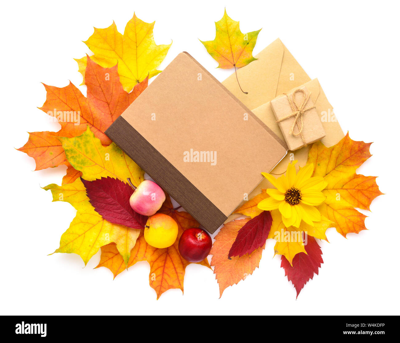 Beautiful autumn composition envelope hi-res stock photography and ...