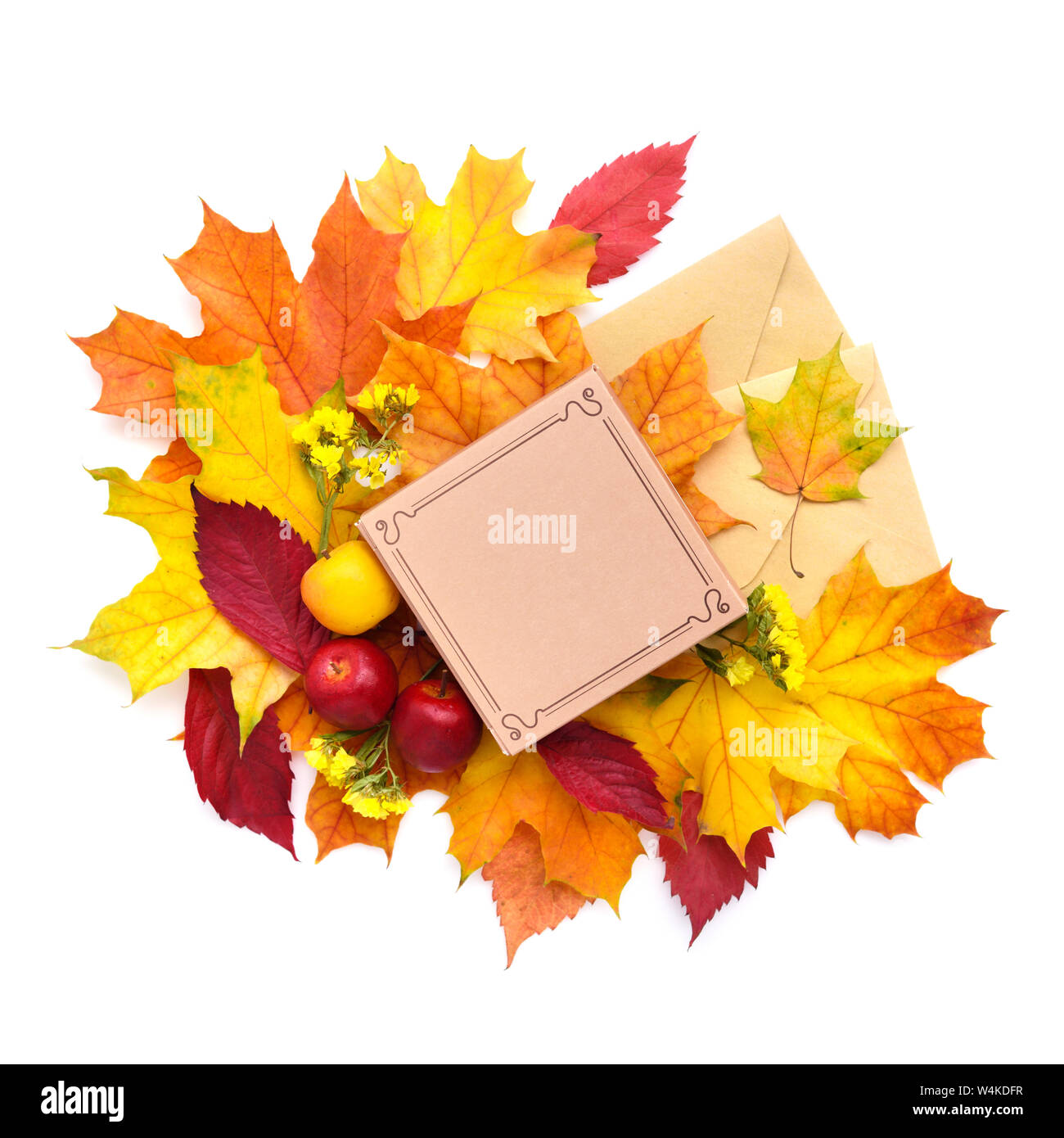 Autumn leaves, gift box and envelopes on a white background. Top view ...