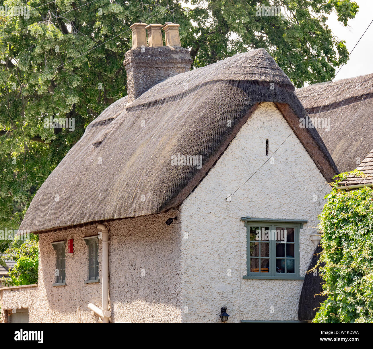 White cottage thatched roof hi-res stock photography and images - Alamy