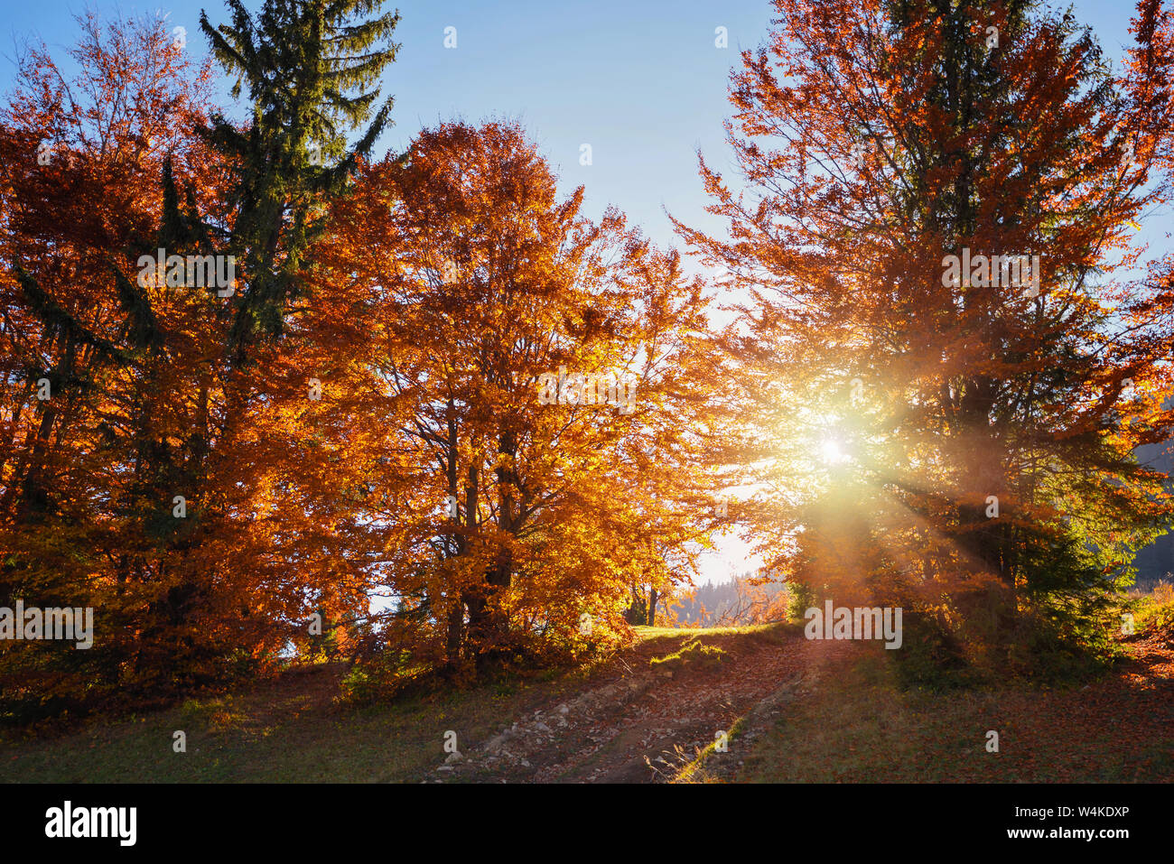 Bright sunbeam hi-res stock photography and images - Alamy