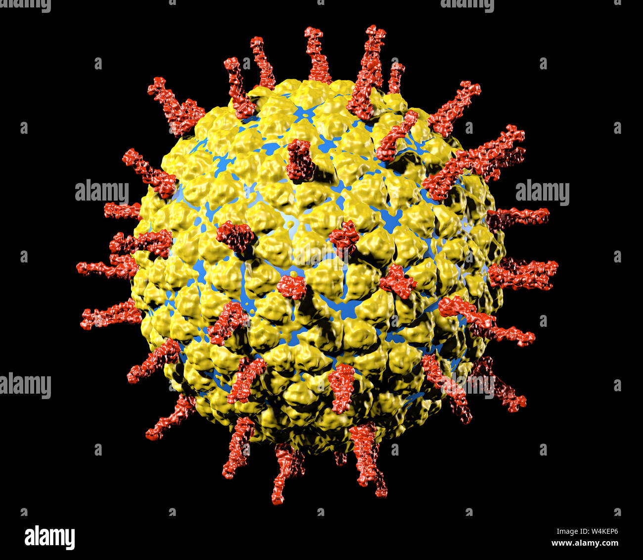 Rotavirus hi-res stock photography and images - Alamy