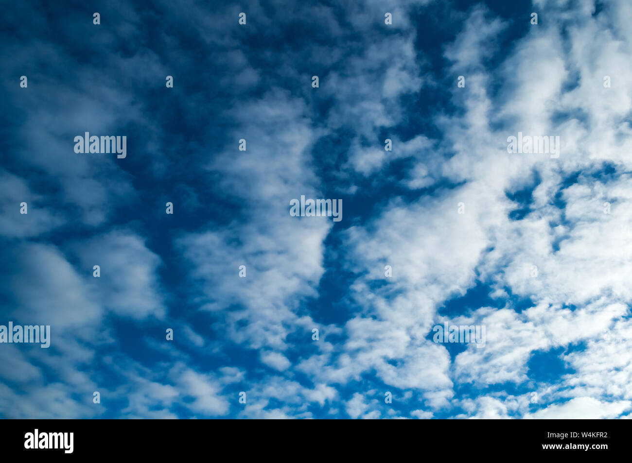 Blue dramatic sky background - white dramatic colorful clouds lit by ...