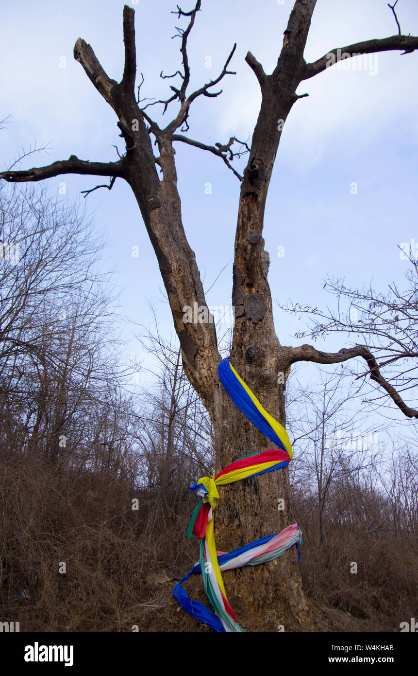 Shaman tree hi-res stock photography and images - Alamy