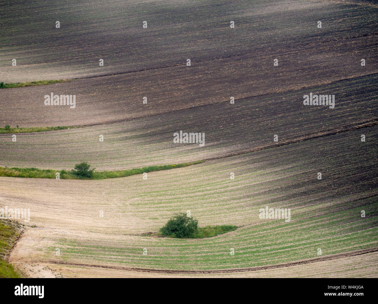 Castelluccio di Norcia, Umbria, Italy. Field detail, valley farming ...