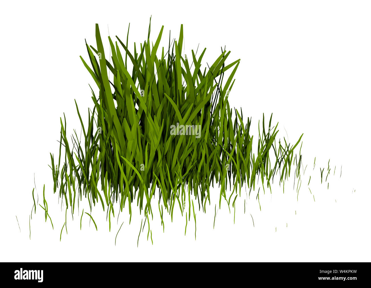 3D rendering of a patch of grass isolated on white background Stock ...