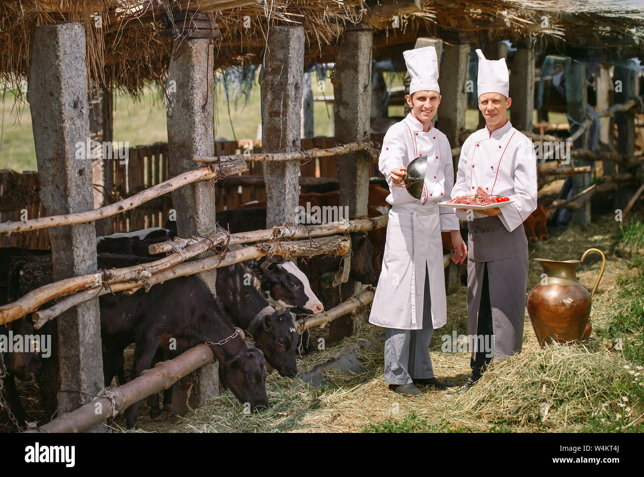 Bull cook hi-res stock photography and images - Alamy