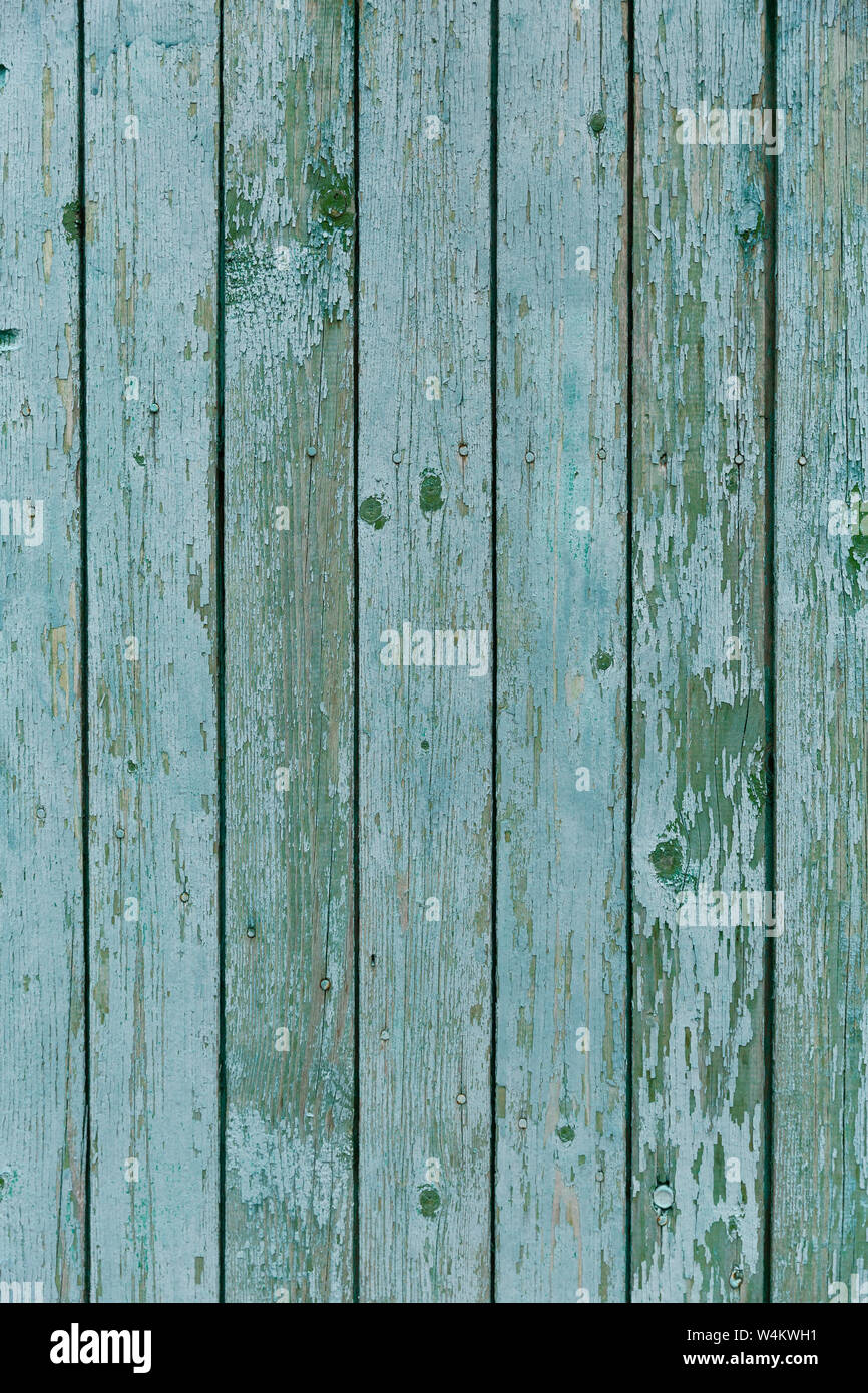 turquoise wood texture background, top view wooden board Stock Photo ...