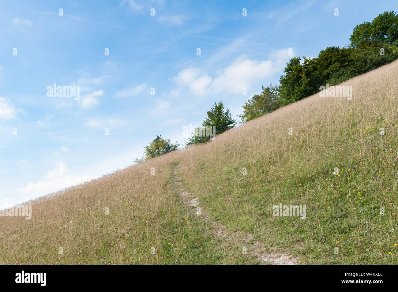 Kent chalkland hi-res stock photography and images - Alamy