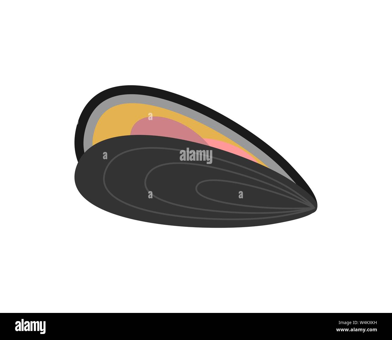 Boiled open clam isolated. Seafood vector illustration Stock Vector ...