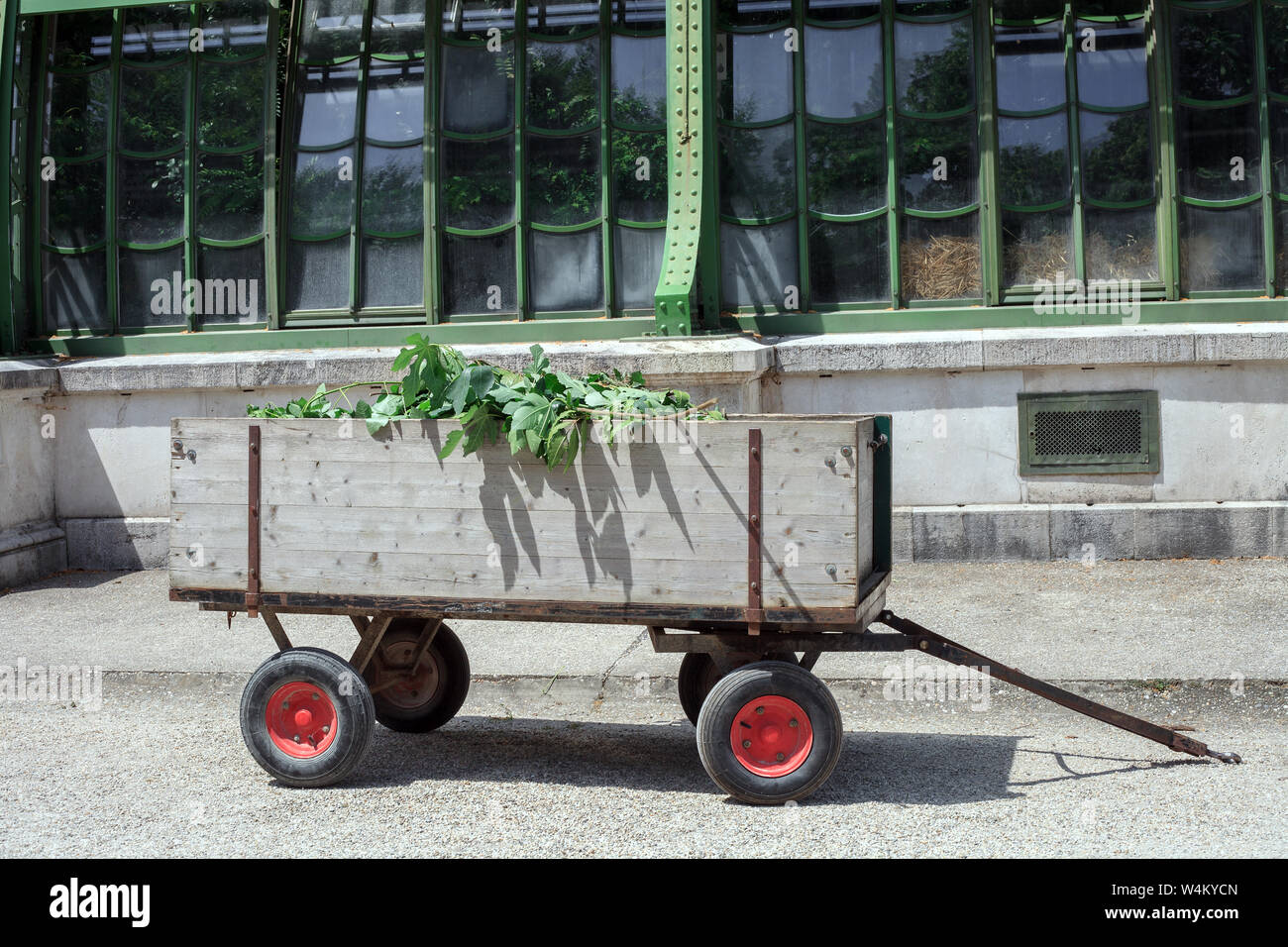 Old wooden cart with tree branches. Vintage dray on yard. Garden cart ...