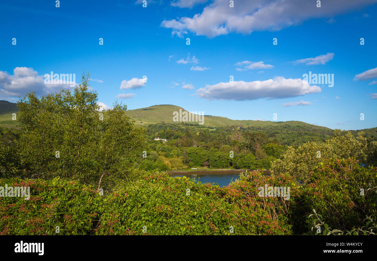 nice landscape at Bamboo Park in Glengarriff, West Cork, Ireland Stock ...