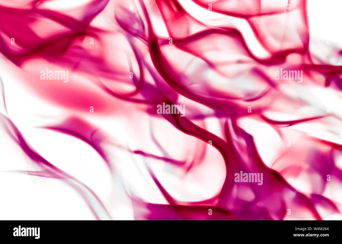 Technology, science and artistic flow concept - Abstract wave ...