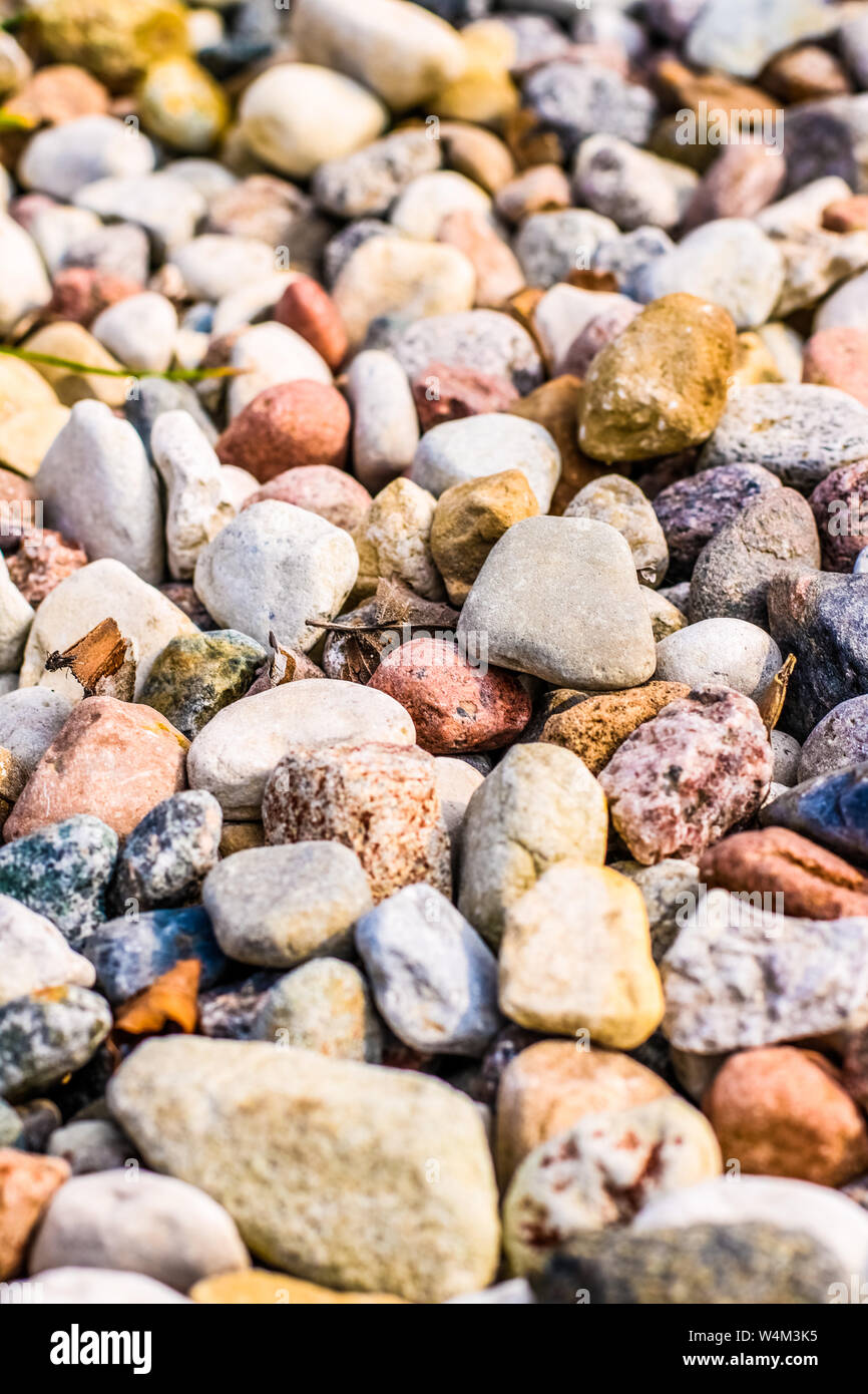 Landscape architecture, interior design and nature elements concept ...