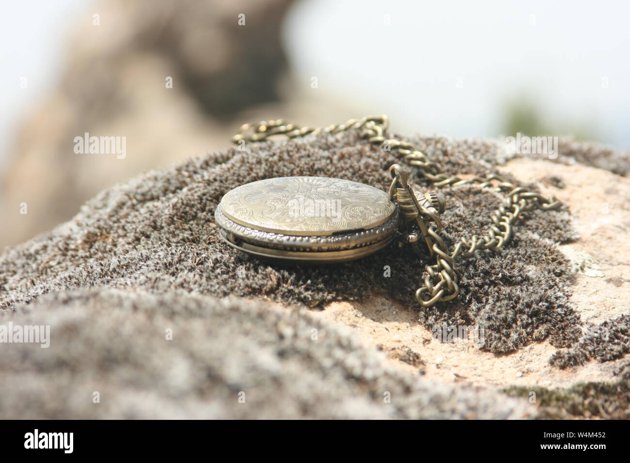 Pocket moss hi-res stock photography and images - Alamy