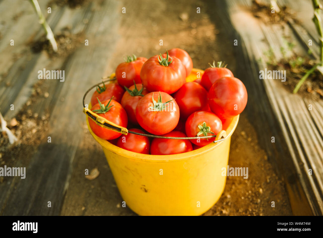 Organically grown produce without the pesticides Stock Photo - Alamy