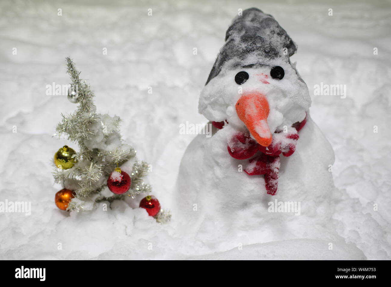 Real Christmas Snowman