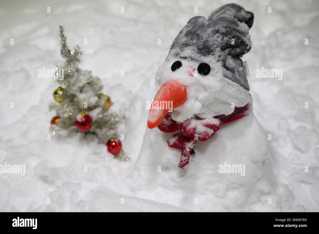 Real snowman hi-res stock photography and images - Alamy