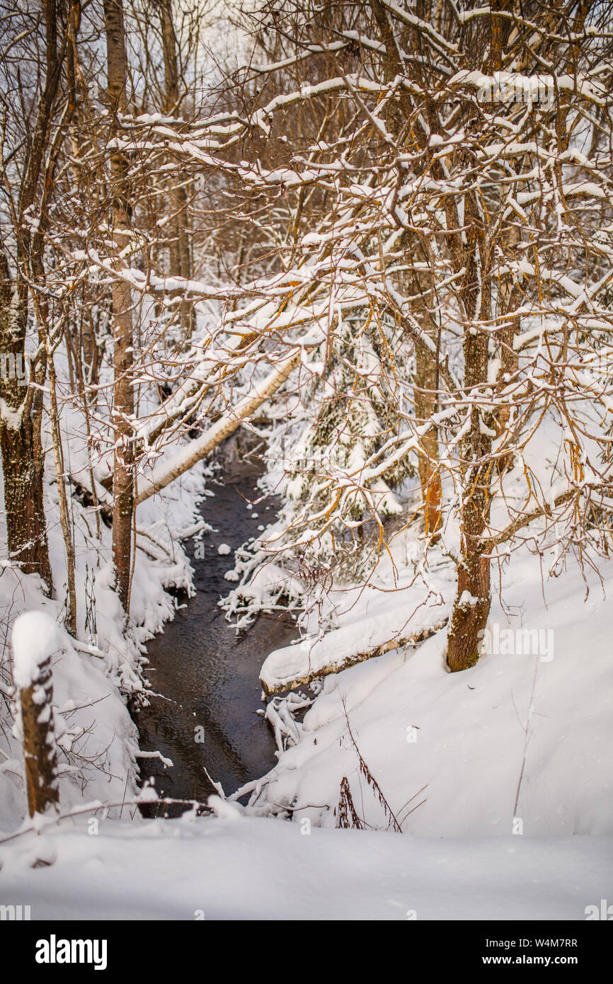 Photo of snowy landscape and river Stock Photo - Alamy