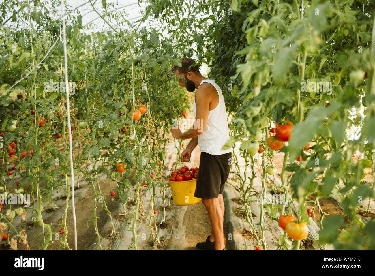 Organically grown produce without the pesticides Stock Photo - Alamy