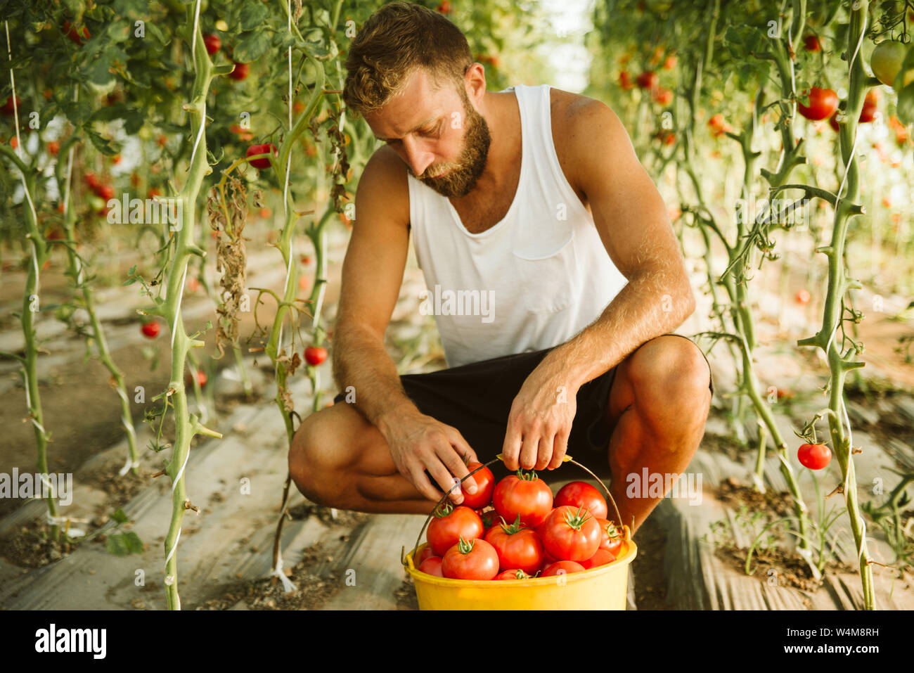 Organically grown produce without the pesticides Stock Photo - Alamy