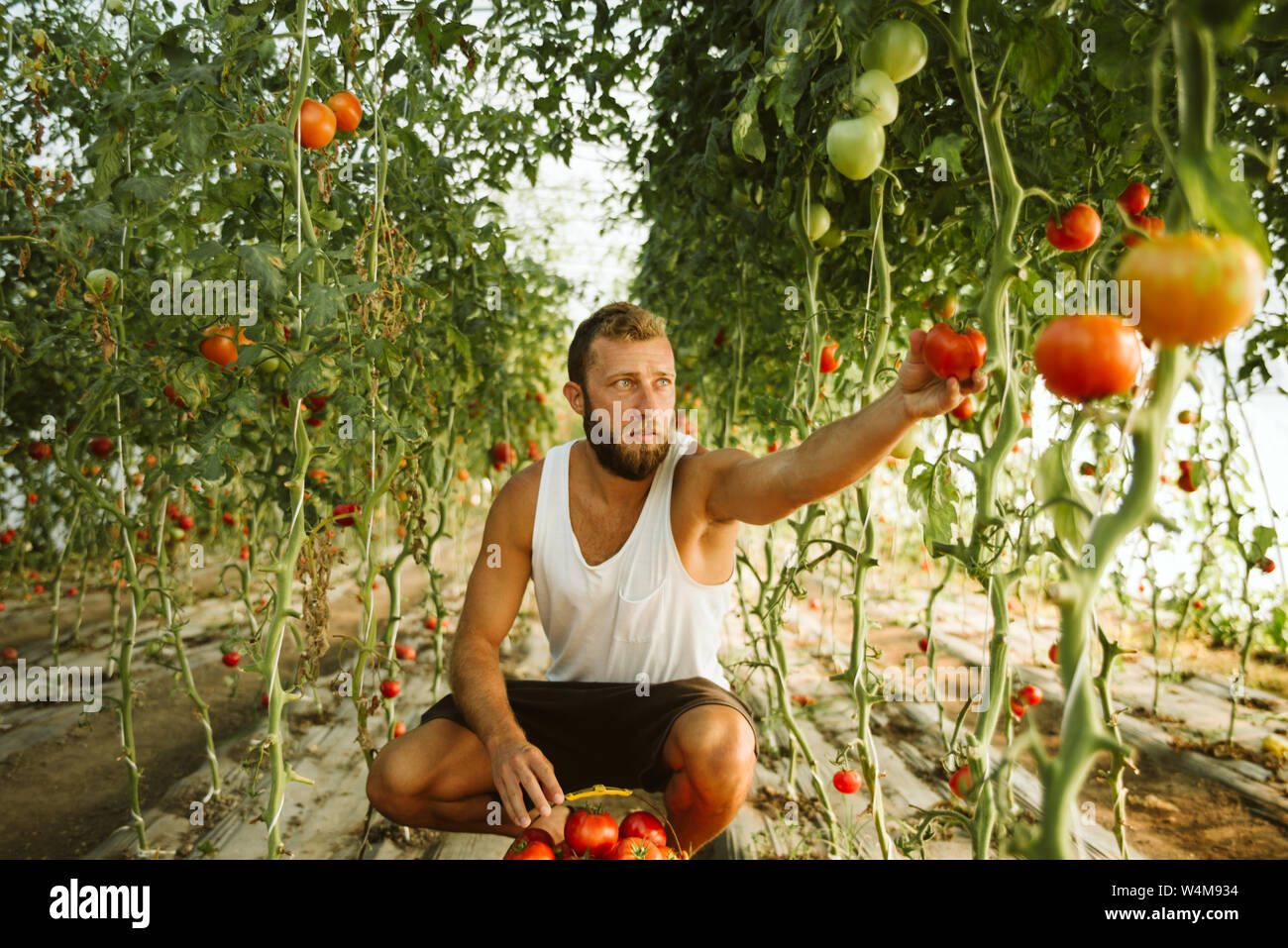 Organically grown produce without the pesticides Stock Photo - Alamy
