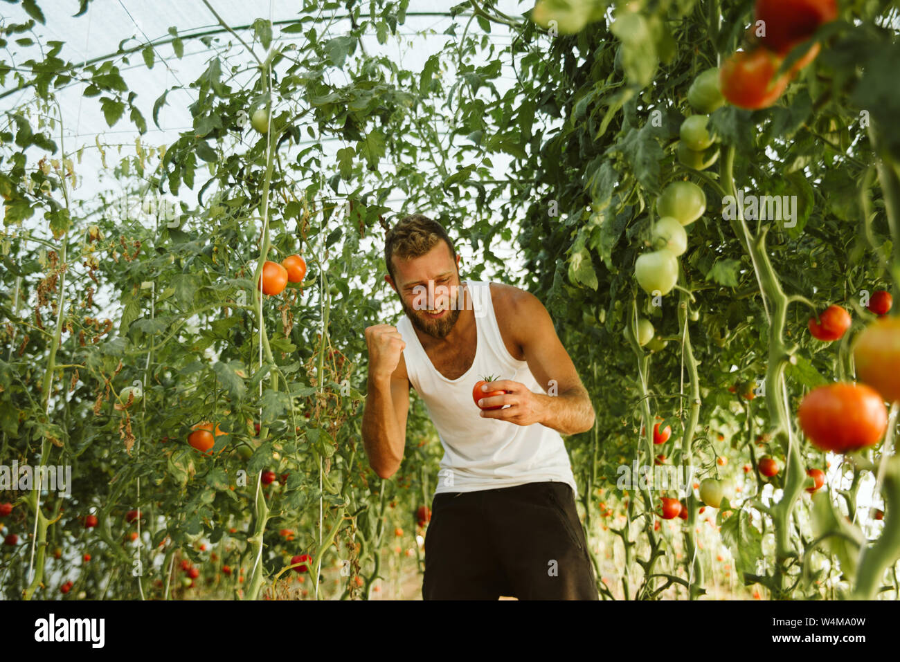 Organically grown produce without the pesticides Stock Photo - Alamy
