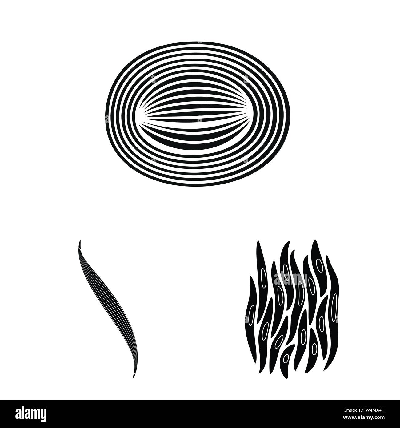 Isolated object of human and body symbol. Set of human and cells stock ...