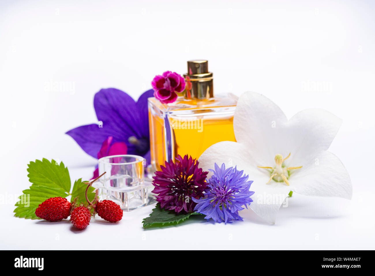 Creation of perfume essence, summer flowers sweet light fragrance ...