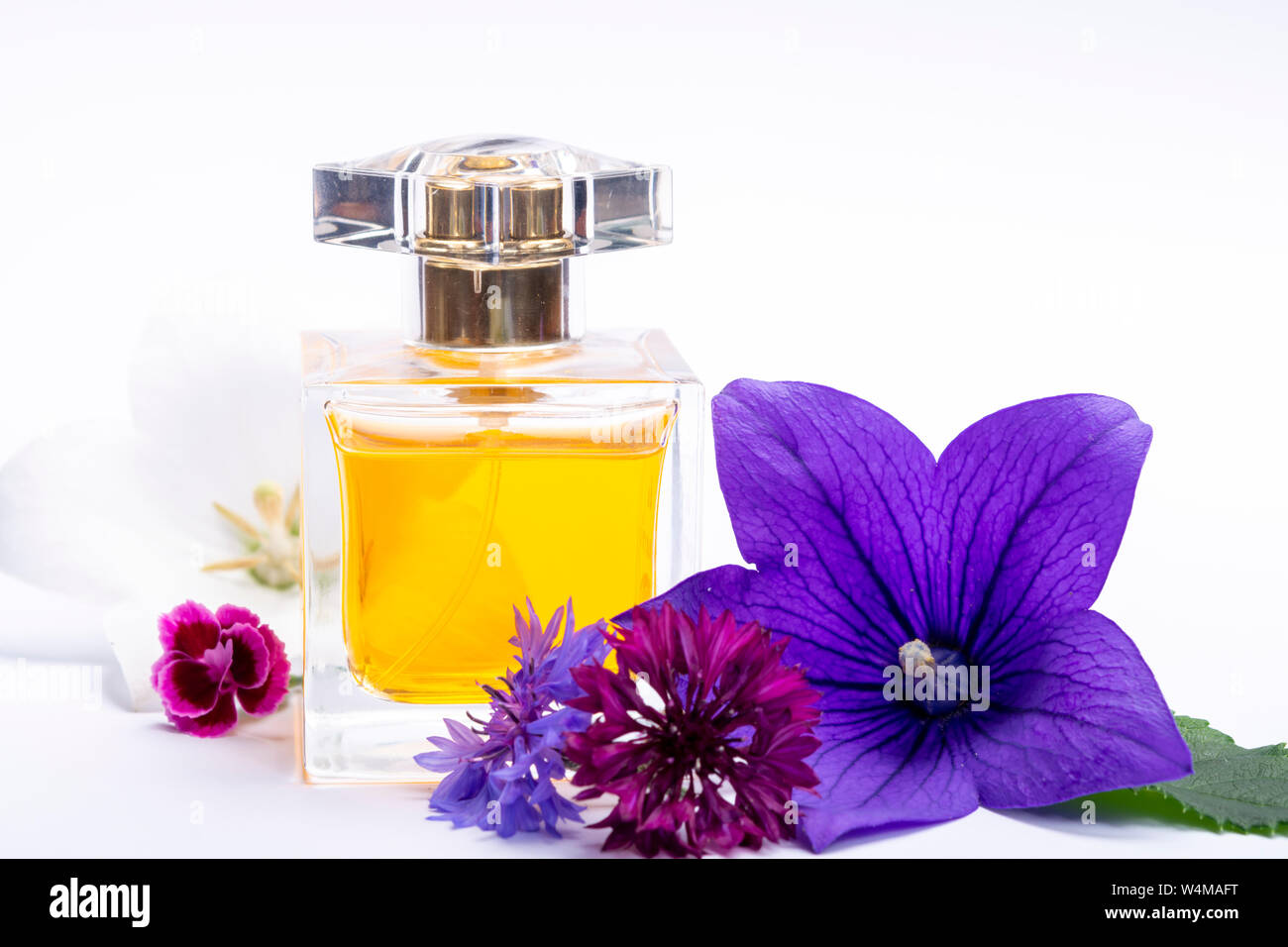 Creation of perfume essence, summer flowers sweet light fragrance ...