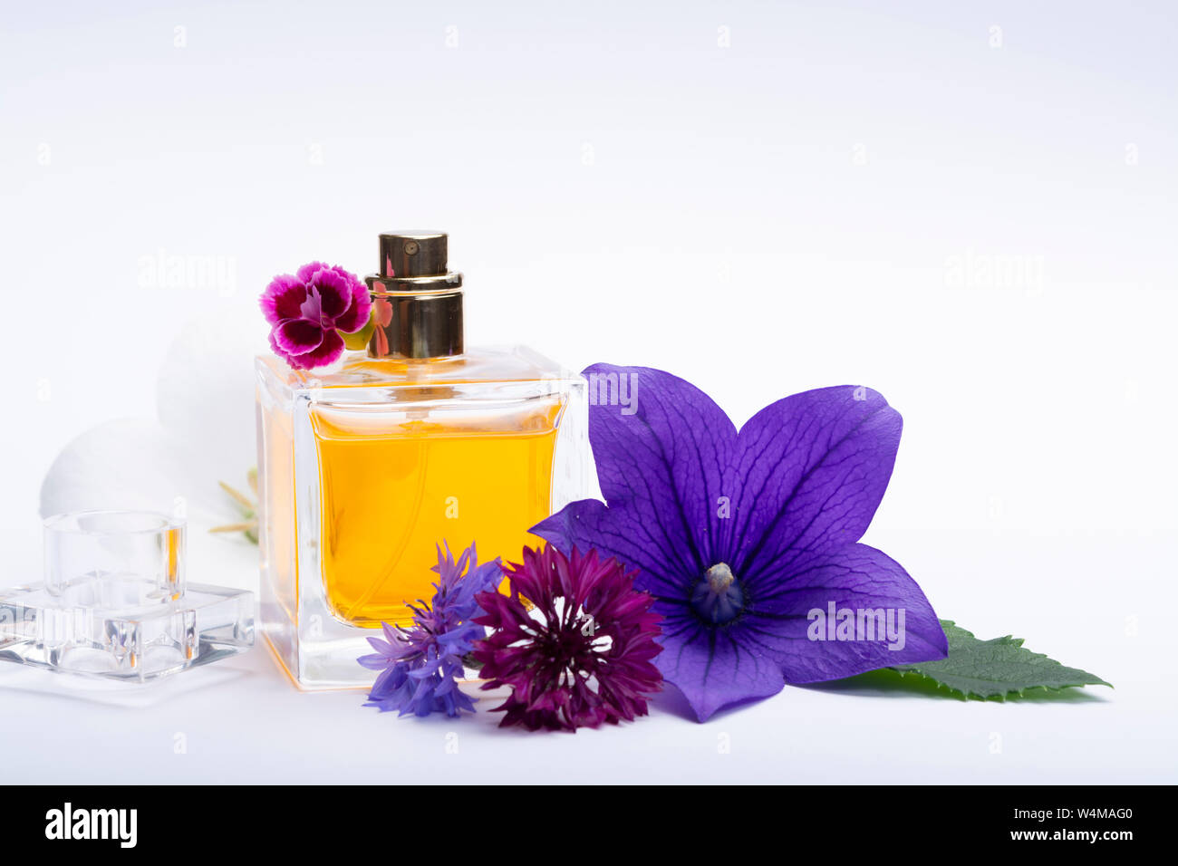 Creation of perfume essence, summer flowers sweet light fragrance ...