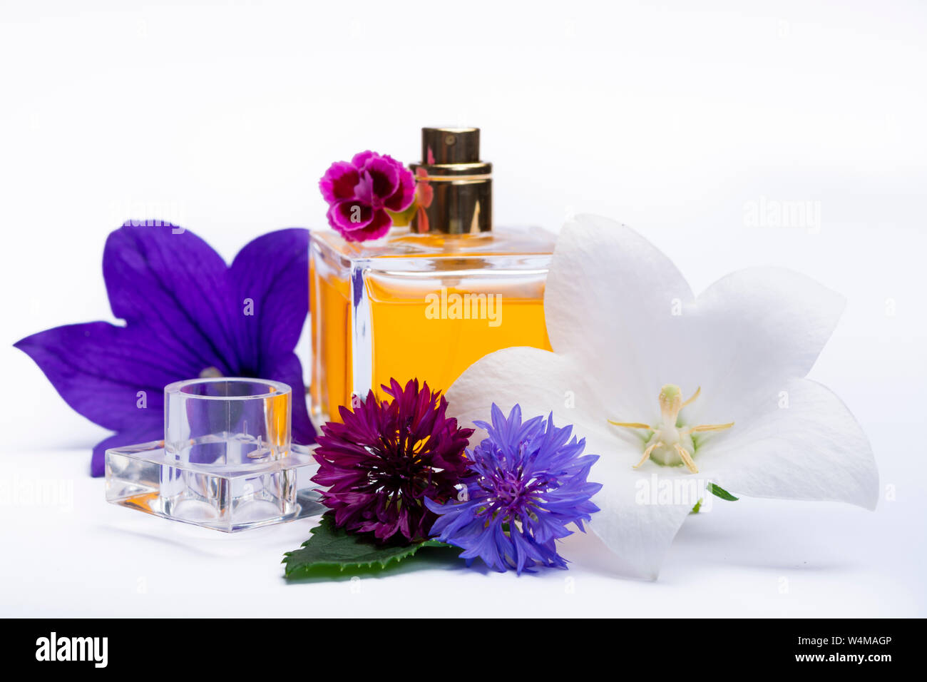 Creation of perfume essence, summer flowers sweet light fragrance ...