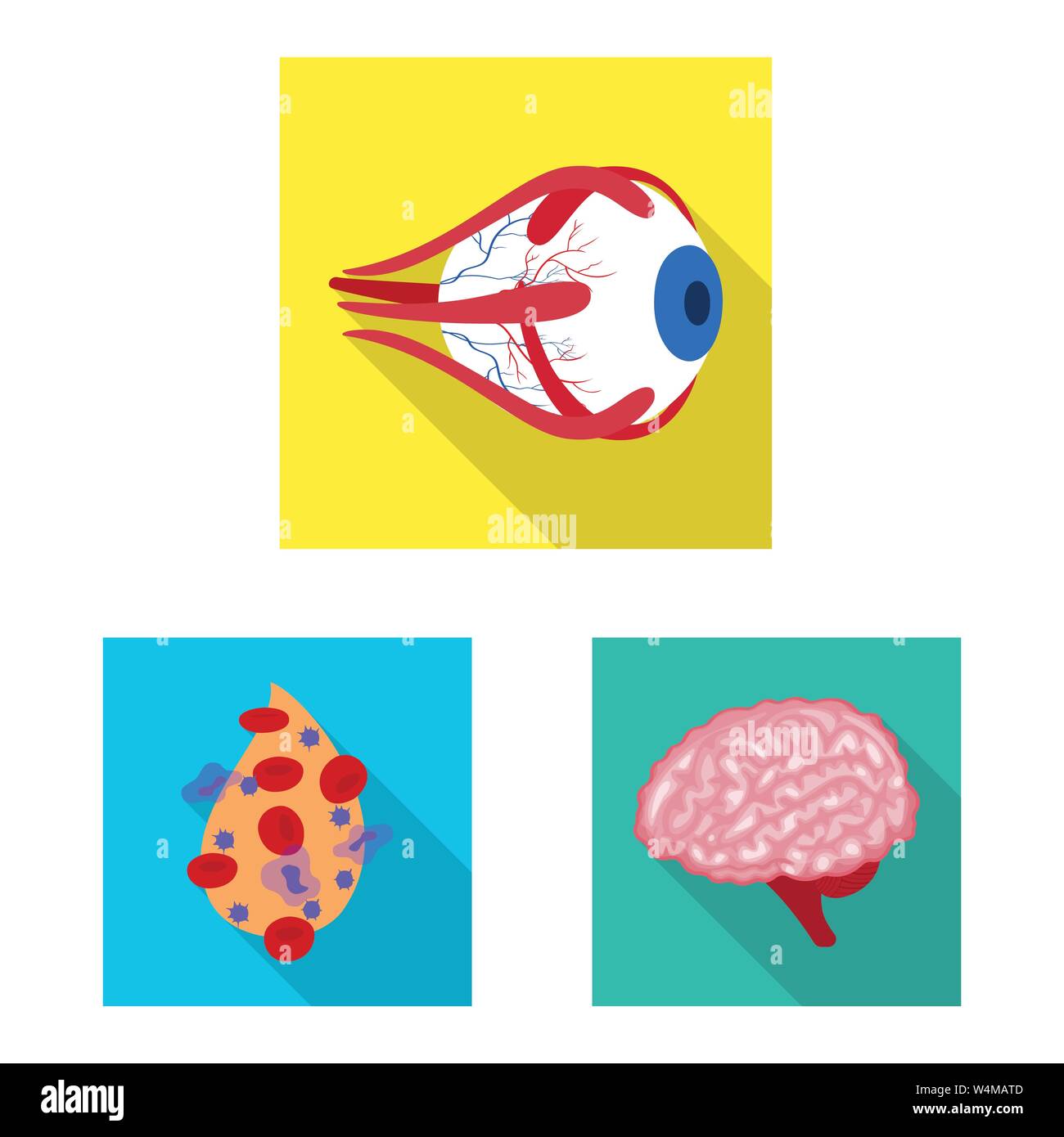 Vector Vectors Stock Vector Image & Art - Alamy