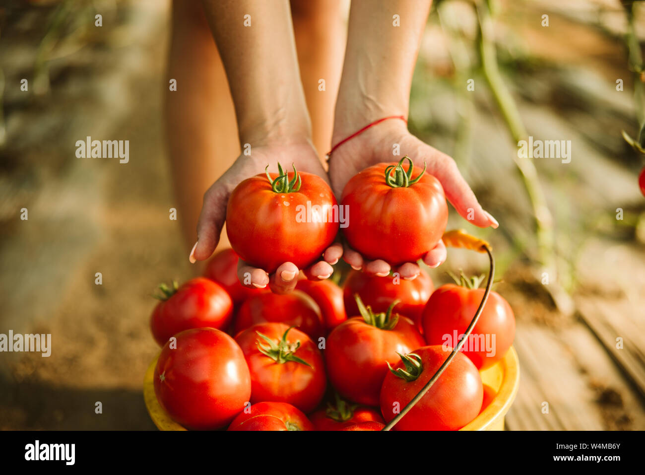 Organically grown produce without the pesticides Stock Photo - Alamy
