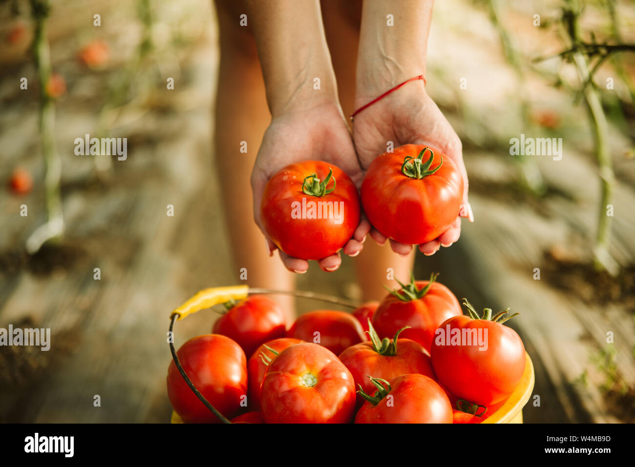 Organically grown produce without the pesticides Stock Photo - Alamy