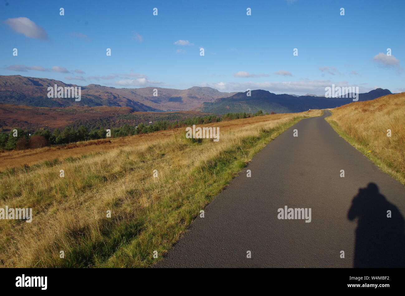 The Loch Lomond and Cowal Way. Cowal peninsula. Highlands. Scotland. UK ...