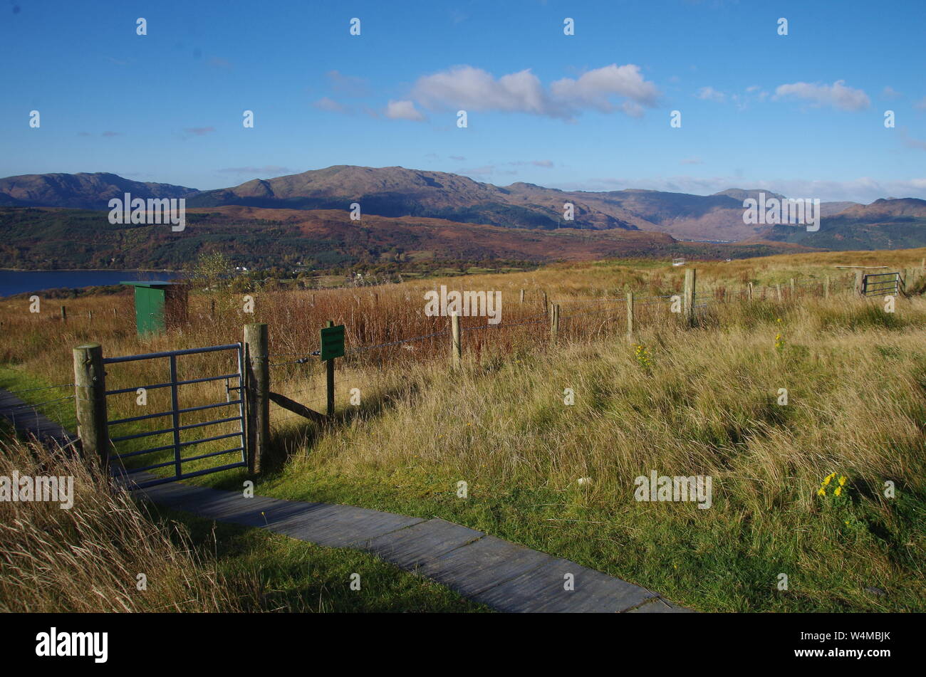 The Loch Lomond and Cowal Way. Cowal peninsula. Highlands. Scotland. UK ...