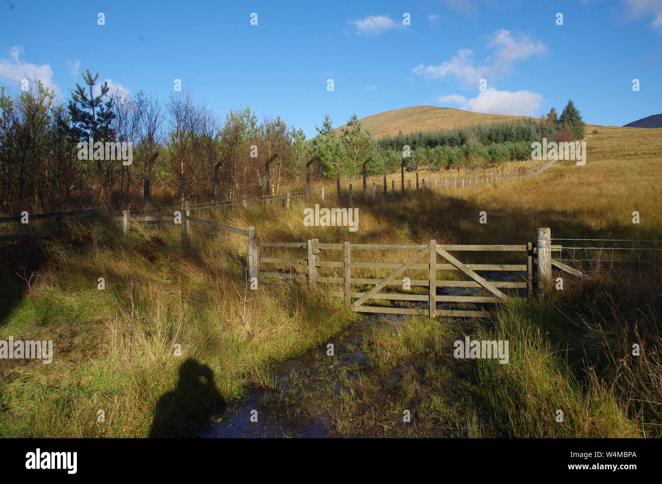 The Loch Lomond and Cowal Way. Cowal peninsula. Highlands. Scotland. UK ...