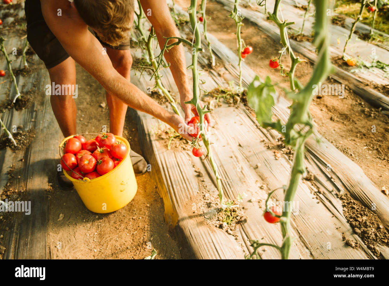 Organically grown produce without the pesticides Stock Photo - Alamy