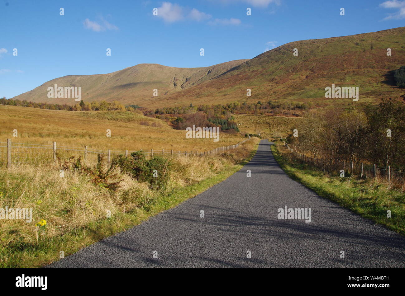 The Loch Lomond and Cowal Way. Cowal peninsula. Highlands. Scotland. UK ...