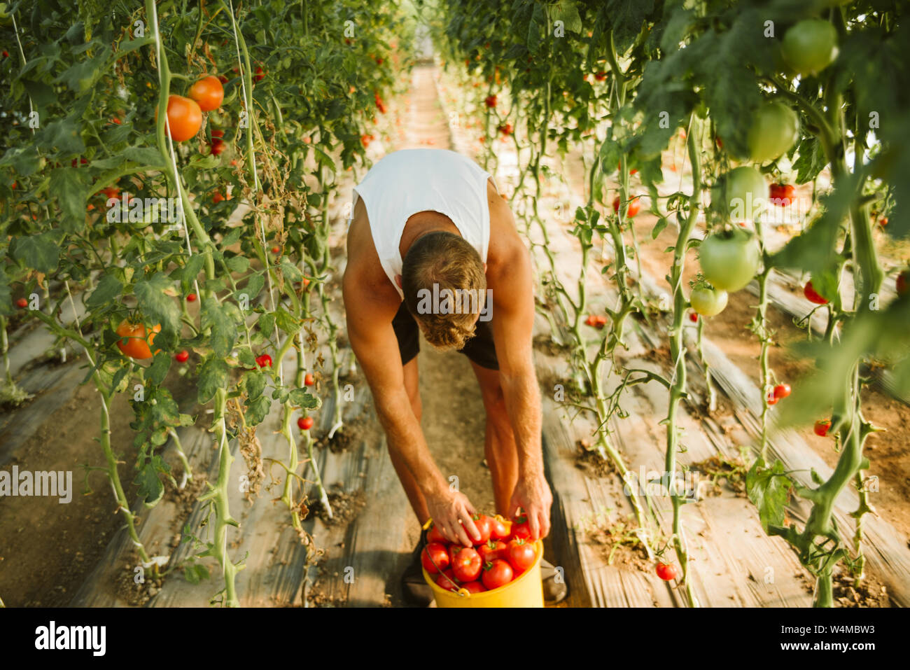 Organically grown produce without the pesticides Stock Photo - Alamy