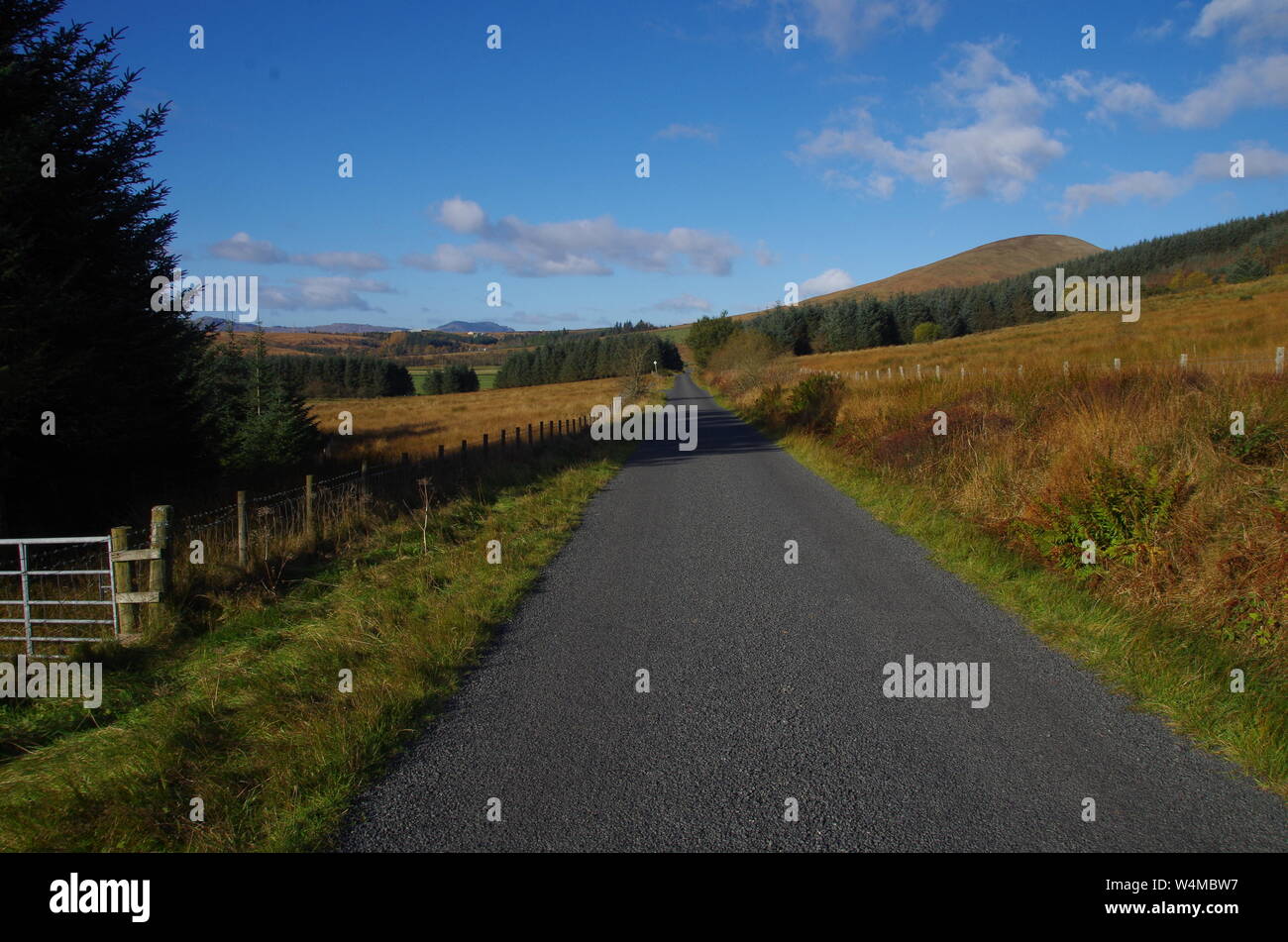 The Loch Lomond and Cowal Way. Cowal peninsula. Highlands. Scotland. UK ...