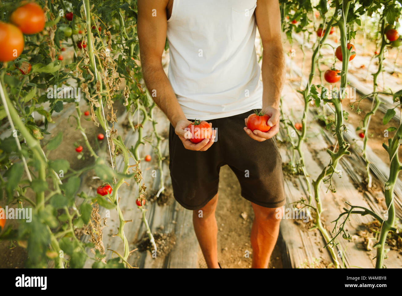 Organically grown produce without the pesticides Stock Photo - Alamy