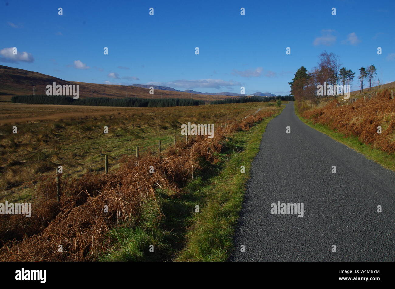 The Loch Lomond and Cowal Way. Cowal peninsula. Highlands. Scotland. UK ...