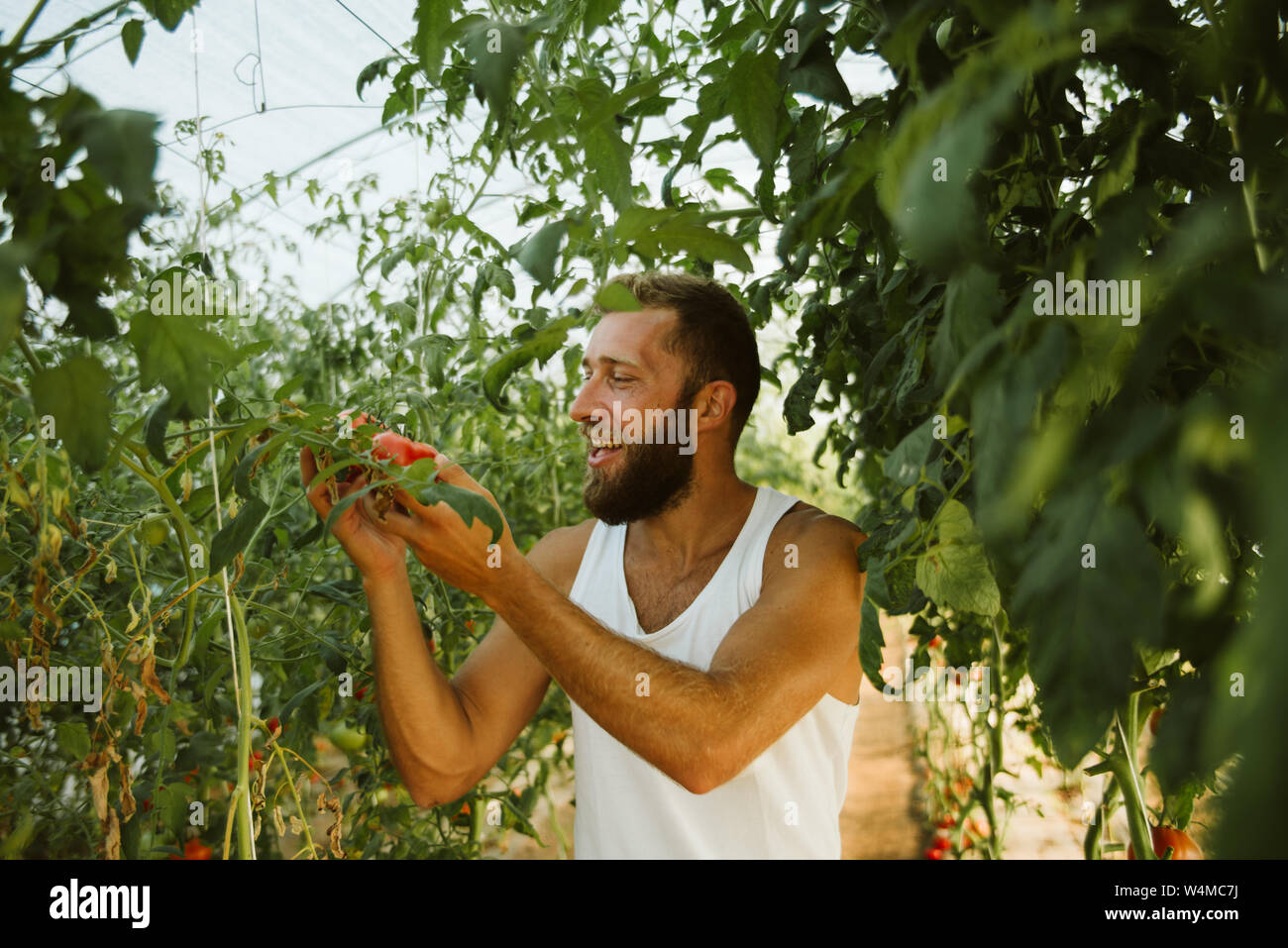 Organically grown produce without the pesticides Stock Photo - Alamy