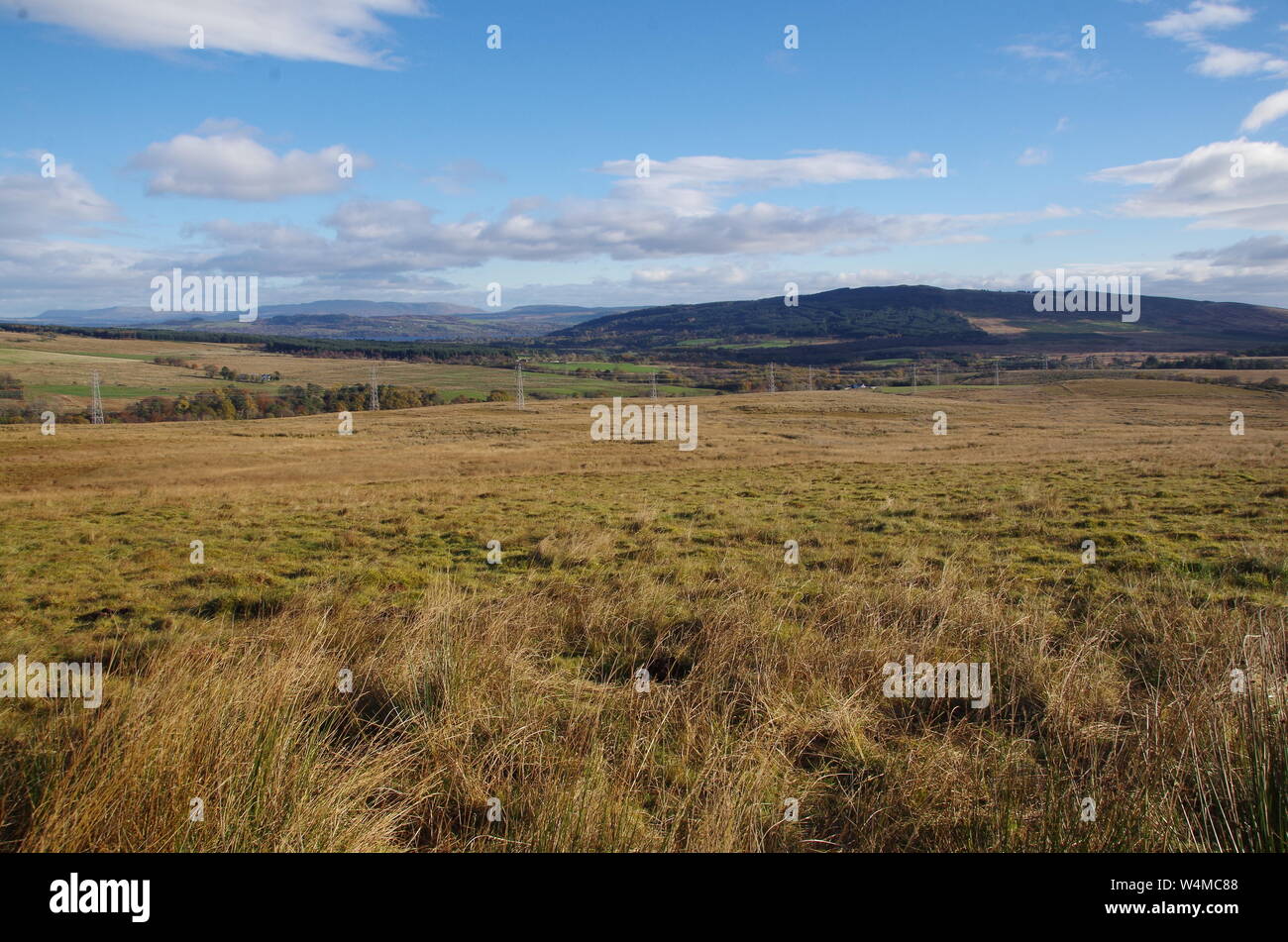 The Loch Lomond and Cowal Way. Cowal peninsula. Highlands. Scotland. UK ...