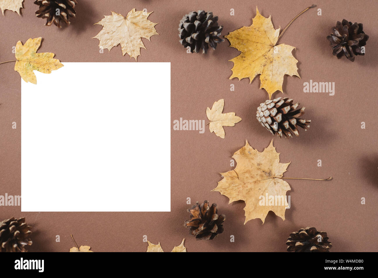 Bumps On The Leaf High Resolution Stock Photography and Images - Alamy