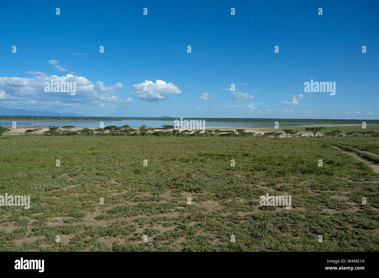 Landscape view of Lake Ndutu, Norther Tanzania Stock Photo - Alamy