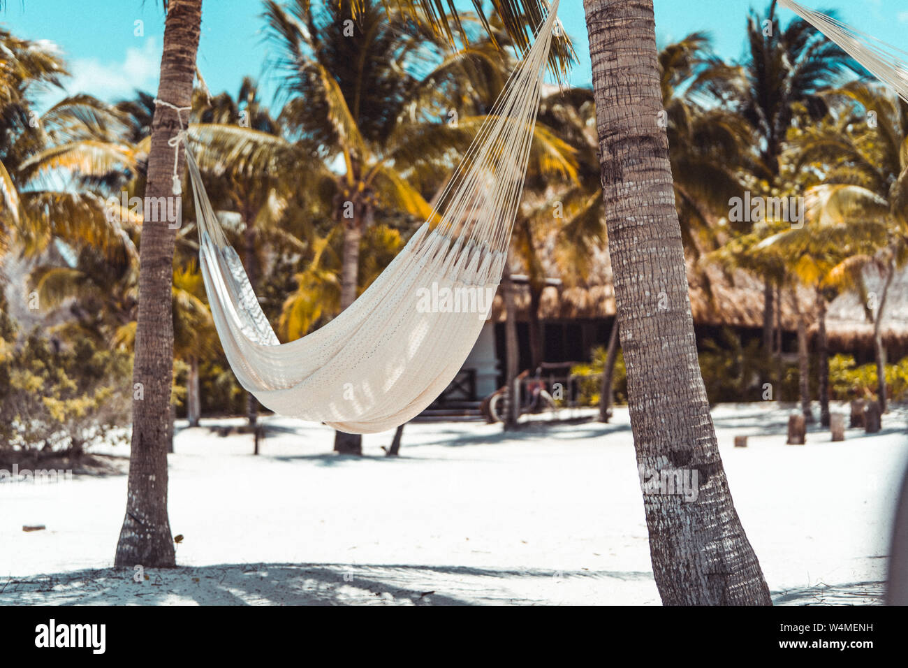 Hammock between two palm trees hi-res stock photography and images - Alamy